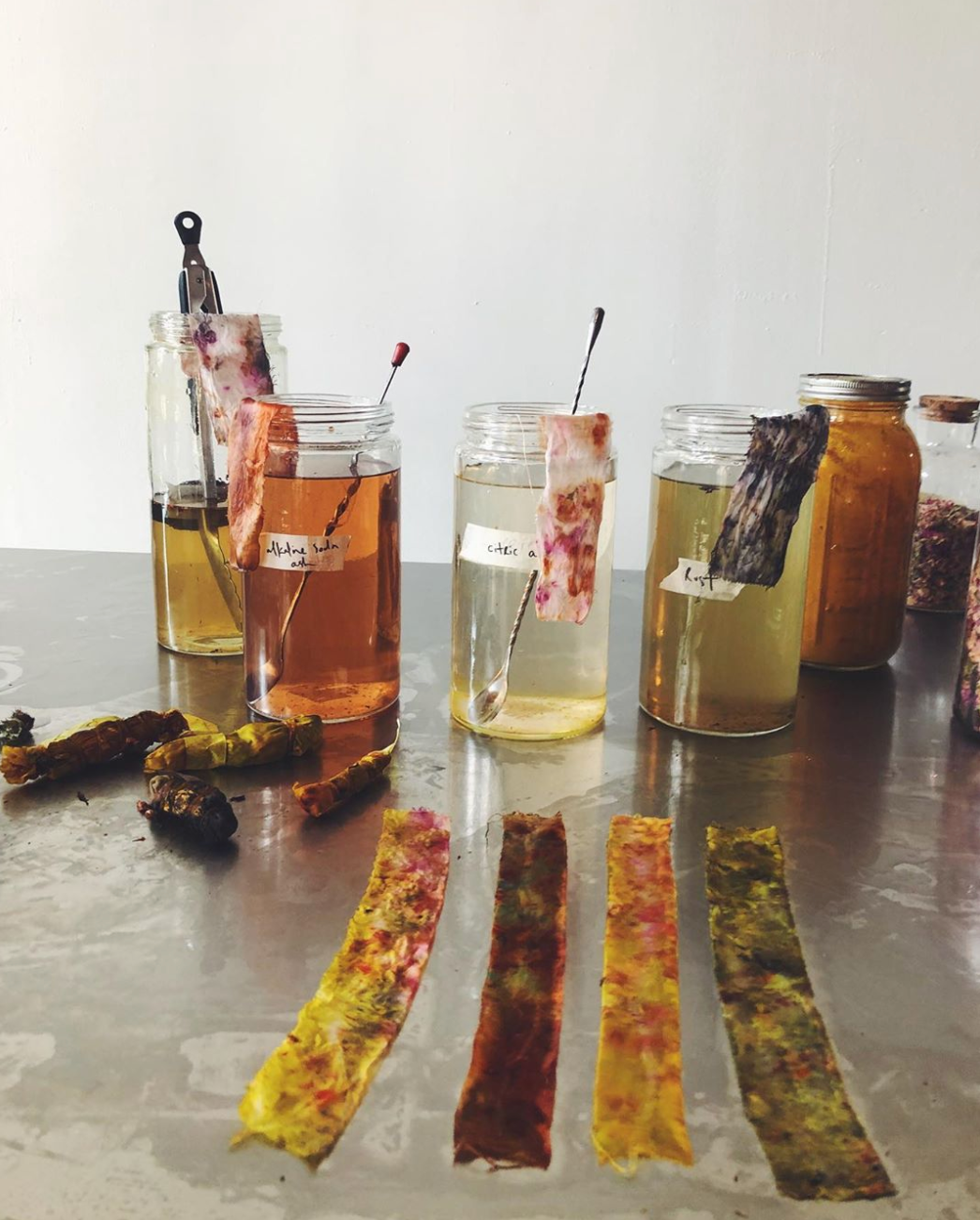 Natural Dye Consultation - Online – Cara Marie Piazza